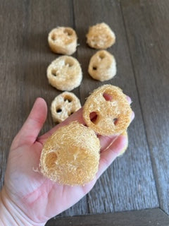 Taste of Summer Loofah Set (10 Pack) - Fun4Bunnies & Friends